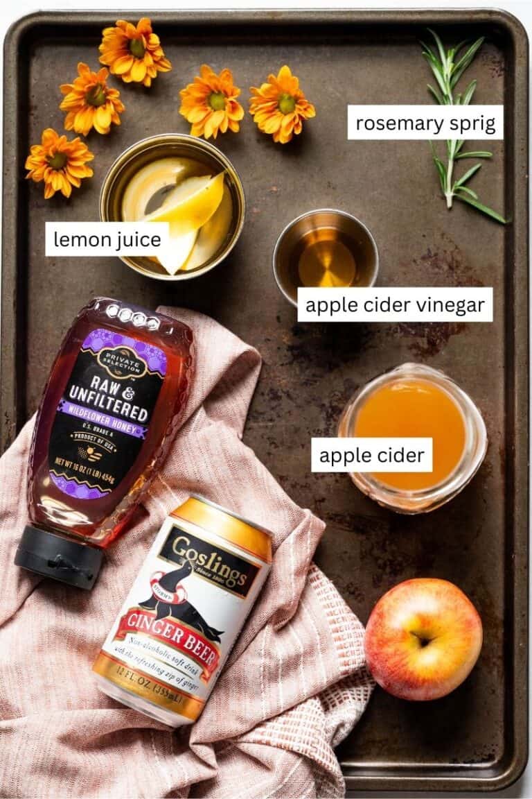 Apple Cider Vinegar Mocktail with Ginger Beer - Shutter + Mint Recipes